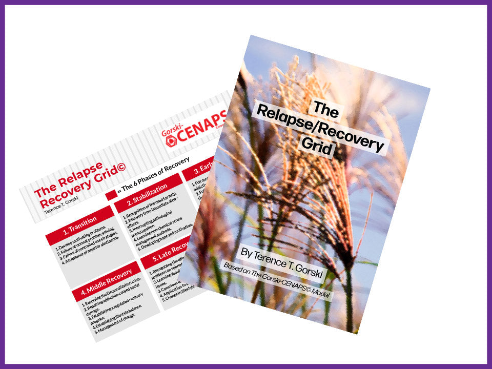 The Relapse/Recovery Grid – Gorski Publications