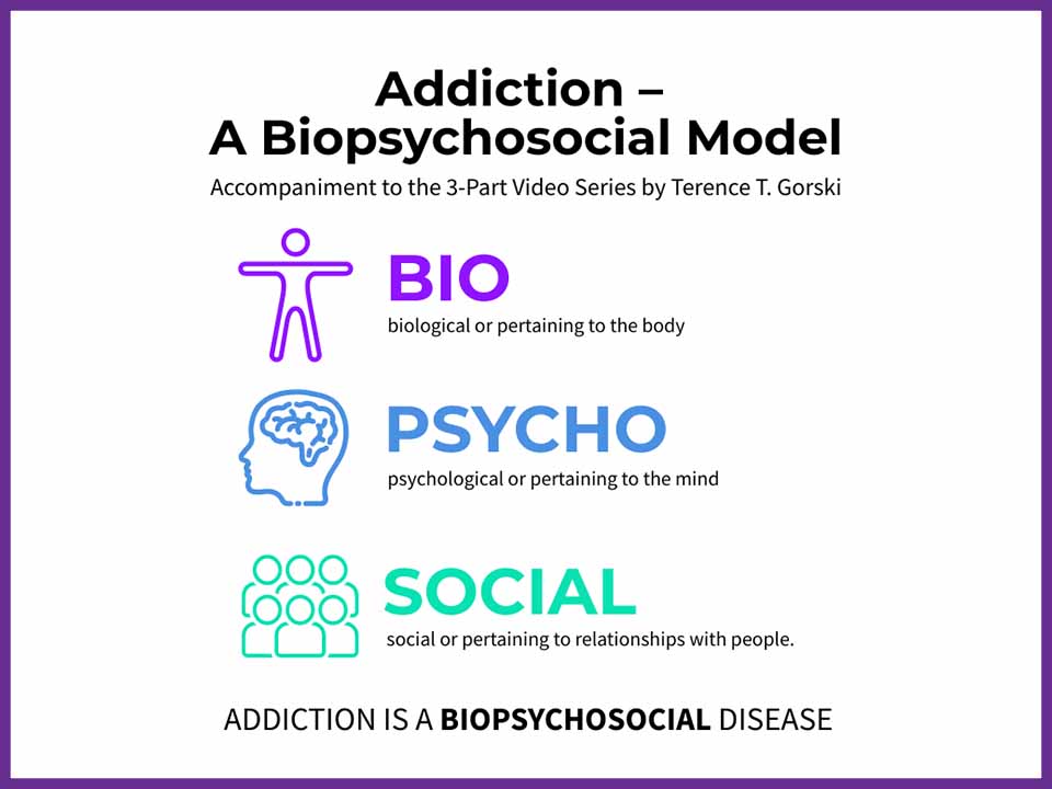 SERIES I: Addiction– A Biopsychosocial Model - Accompaniment Text ...